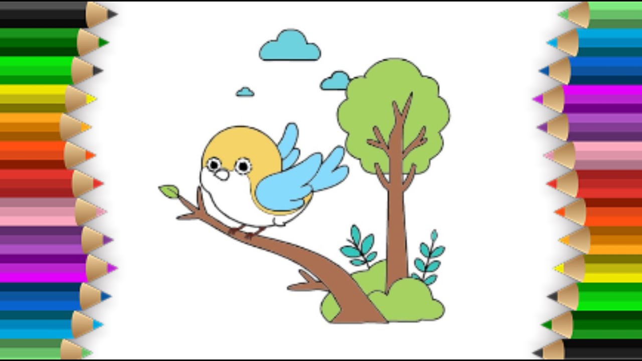 how to draw and color the bird / belajar menggambar dan mewarnai burung ...