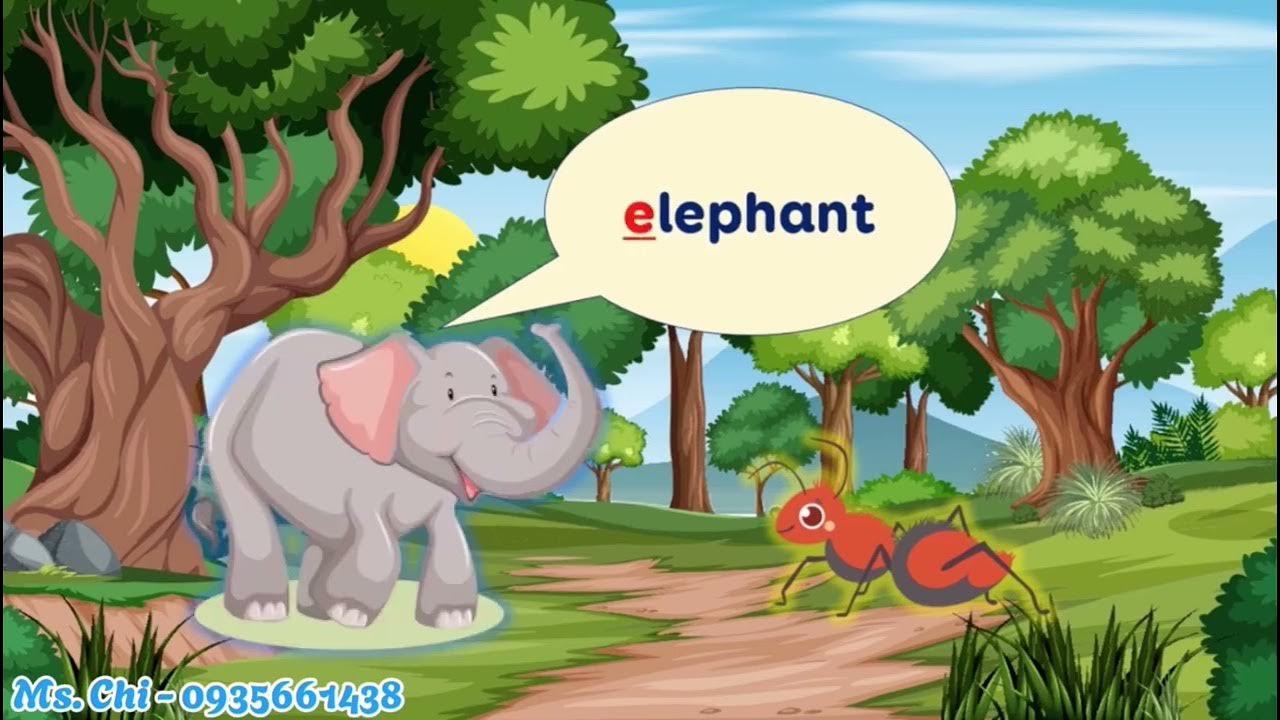 Ms.Chi - SM1 - Unit 4 My Body - YouTube