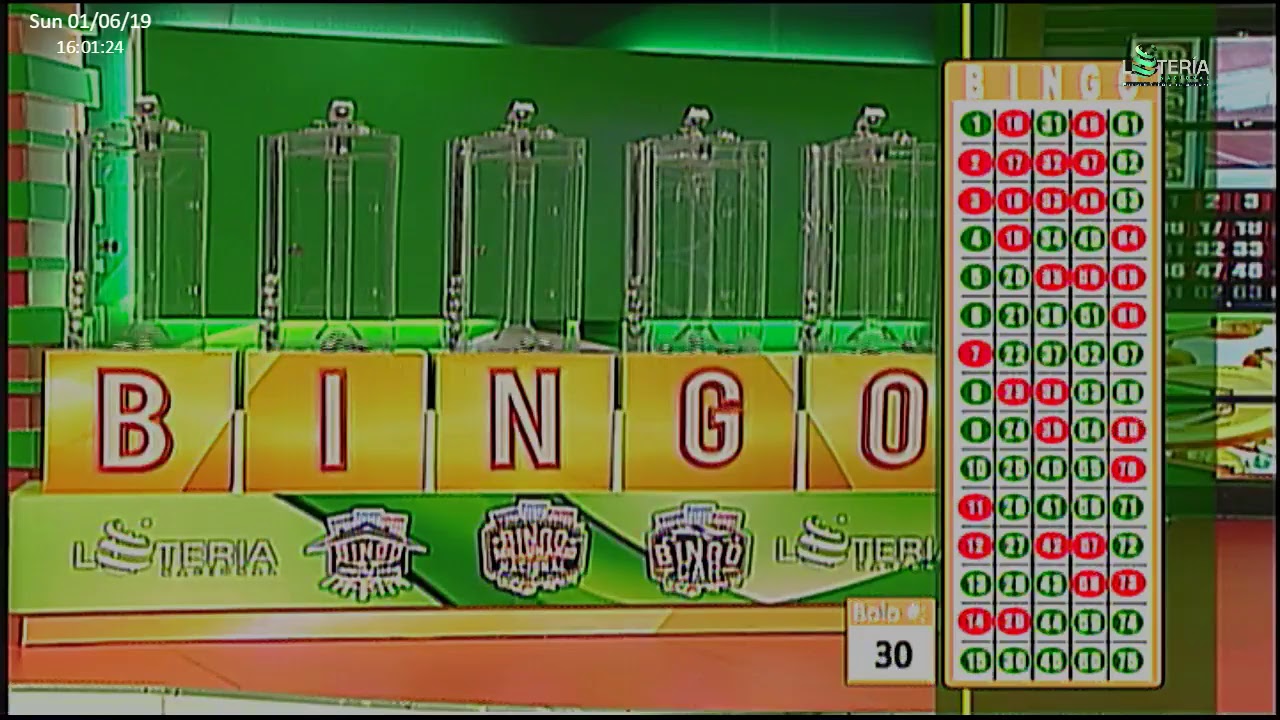 Sorteo #24 | Bingo Show Nacional - YouTube