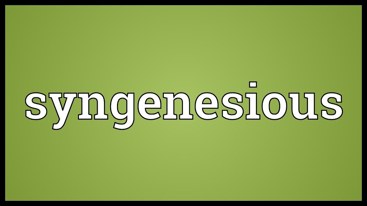 Syngenesious Meaning - YouTube