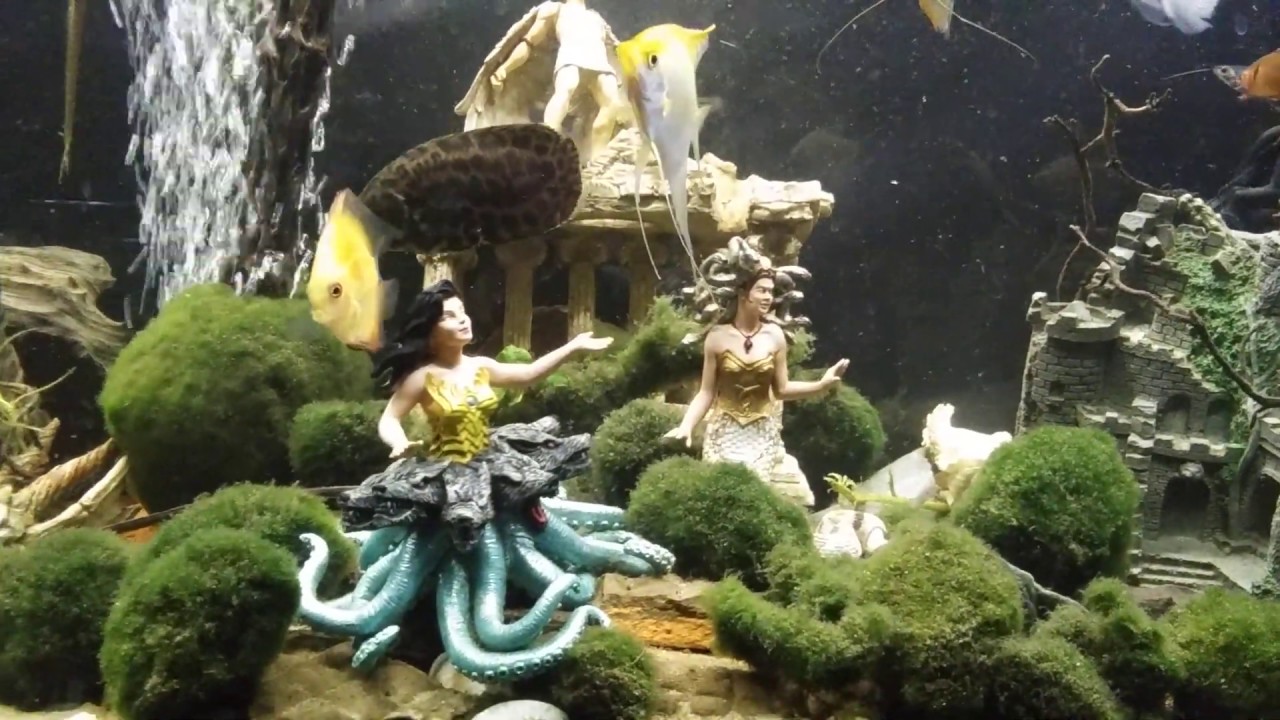 My Greek Mythology fish tank (Meditation music) - YouTube