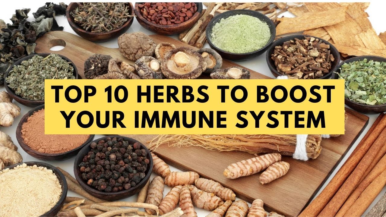 Top 10 Herbs To Boost Your Immune System - YouTube