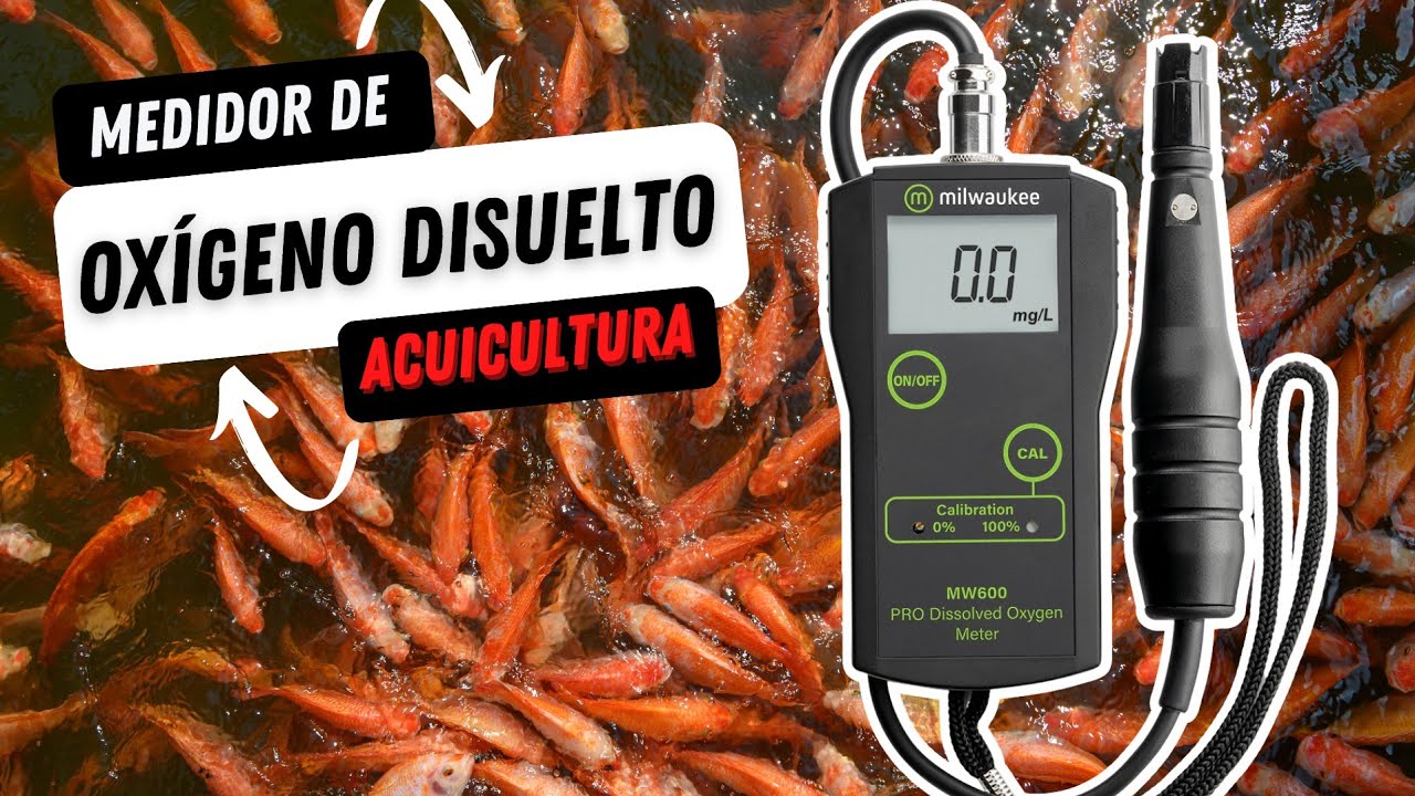 Como calibrar y usar el Medidor de Oxigeno Milwaukee MW600 Pro ...