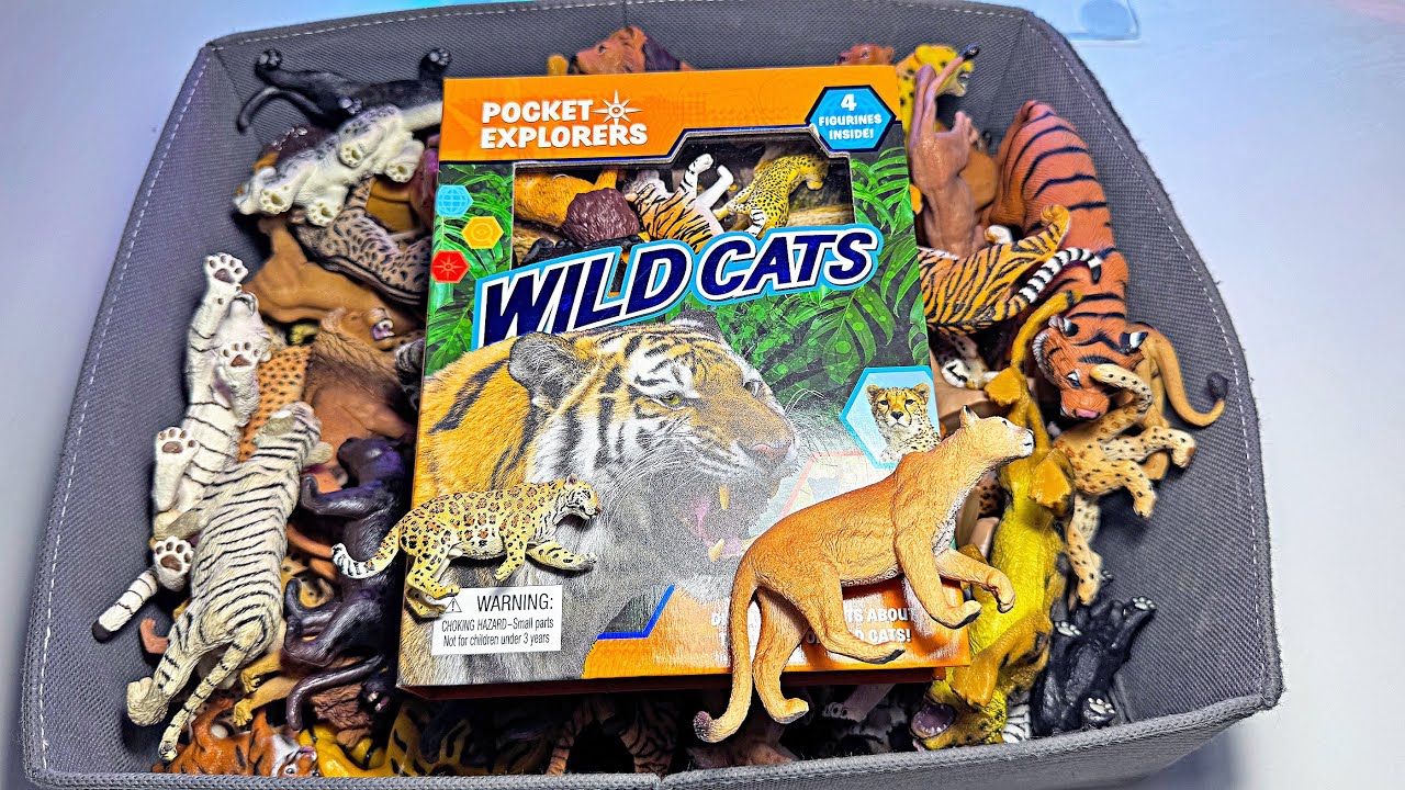Big Cats & Wild Cats Collection - Lion, Tiger, Cheetah, Leopard, Jaguar ...