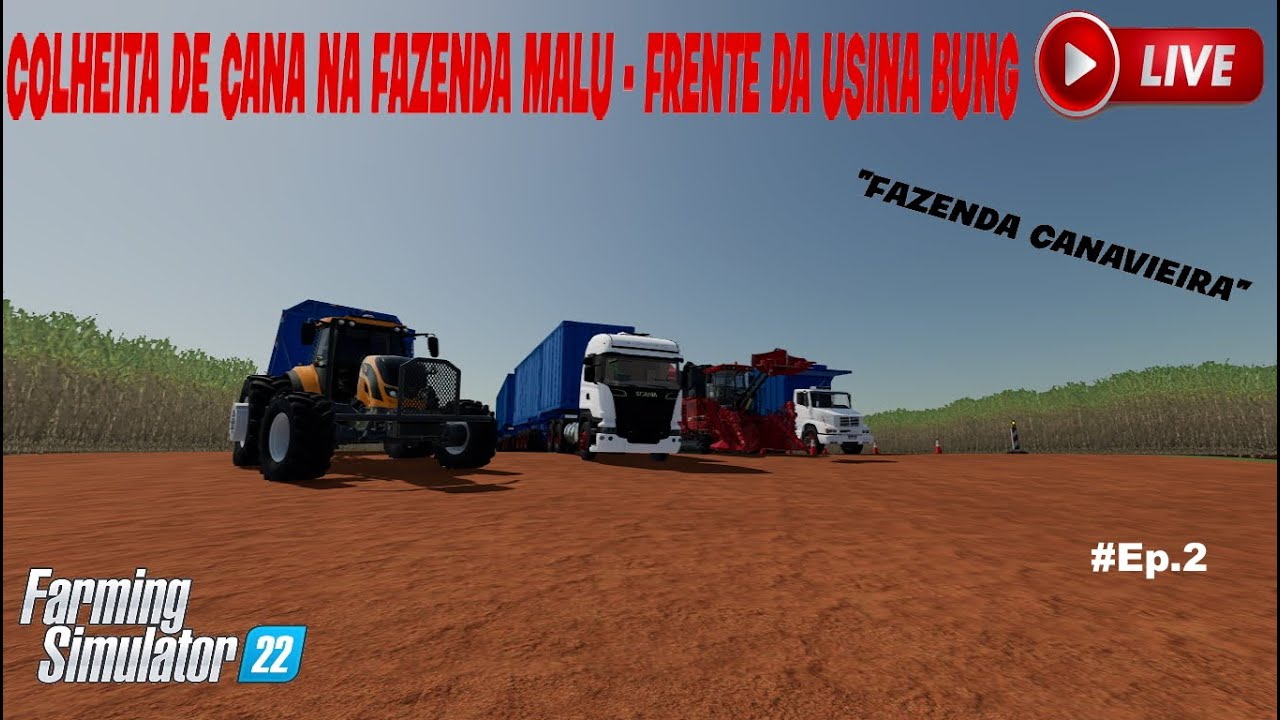 🔴LIVE PUXANDO A SAFRA DE CANA DE AÇUCAR NA FAZENDA MALU PARA A USINA ...