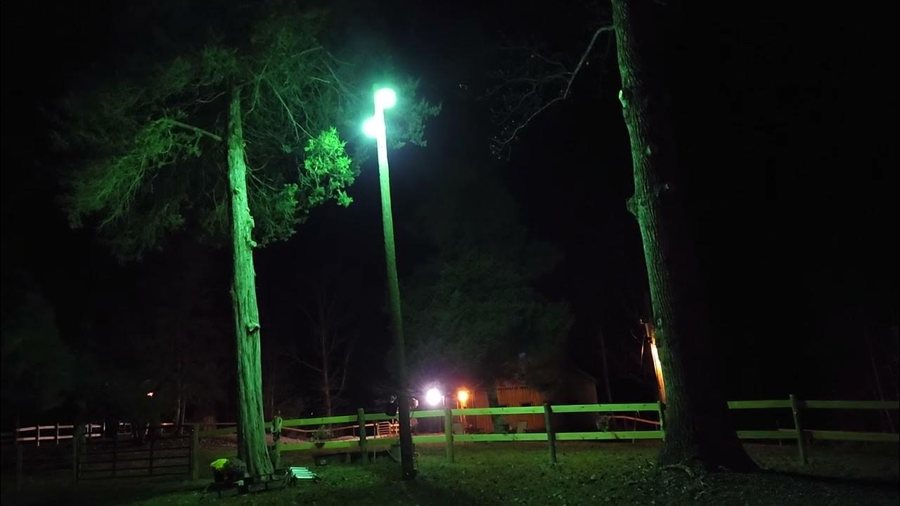 Frosted Dx Coated Bulbs Are Brighter Than Clear It Isnt Just The Cri Youtube