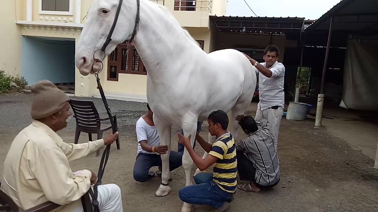 Padma rani care - YouTube