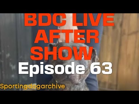 BDC LIVE AFTER SHOW EP:63 with Pressure Kennels, J.Bo, and King T # ...