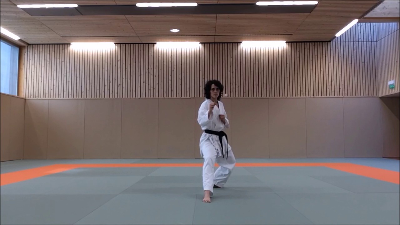 Karaté Shotokan : les positions (de face) - YouTube