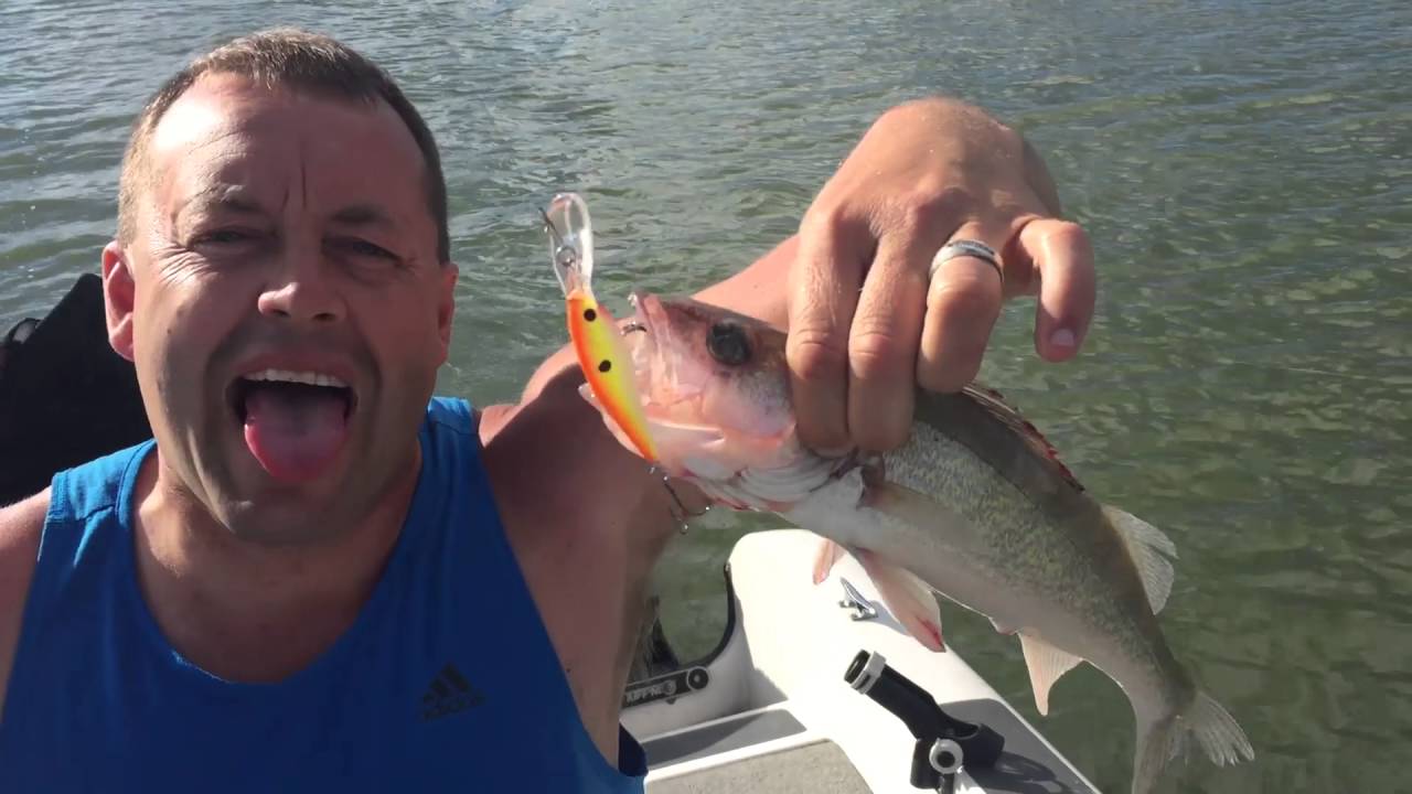 Largemouth Bass and Walleye fishing weekend on the lakes near Bemidji ...