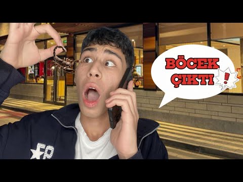 RESTORANLARI ARAYIP YEMEĞİMDEN BÖCEK ÇIKTI DEMEK!