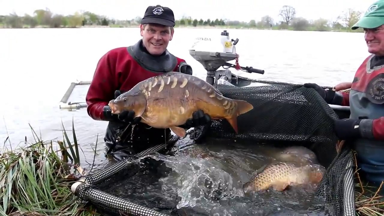 *CARP FISHING* Merrington carp fishery - shropshire - YouTube