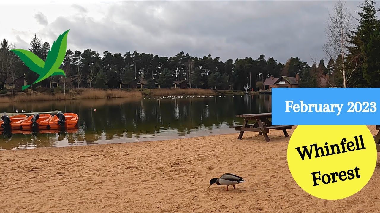 Center Parcs | Whinfell Forest | February 2023 | Day Five | Check Out ...