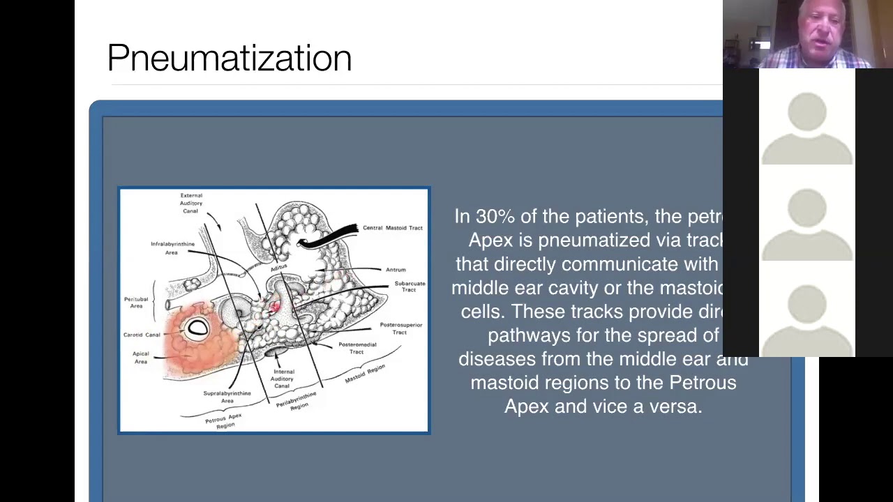 Apex Of Petrous Temporal Bone