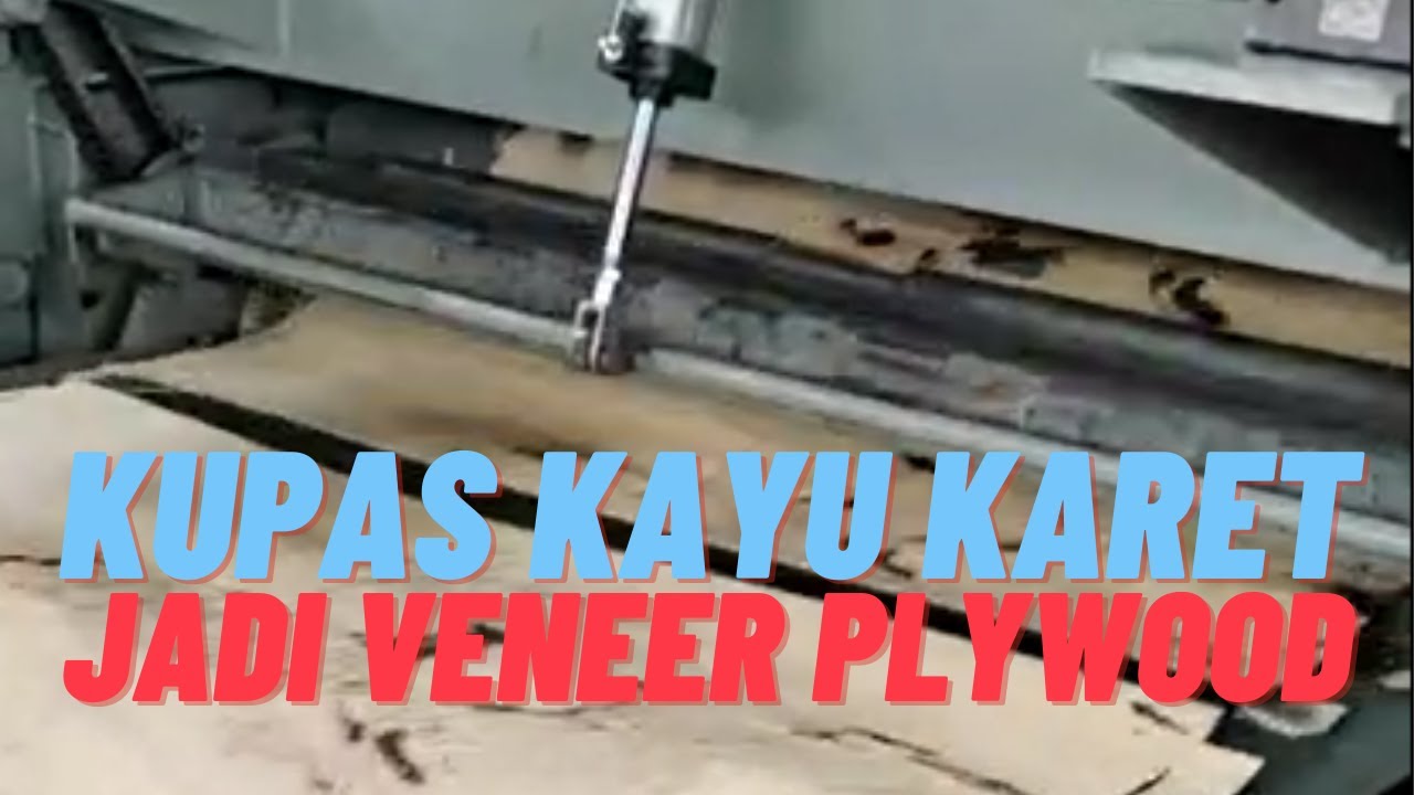 Proses plywood | Pengupasan log kayu karet menjadi veneer plywood - YouTube