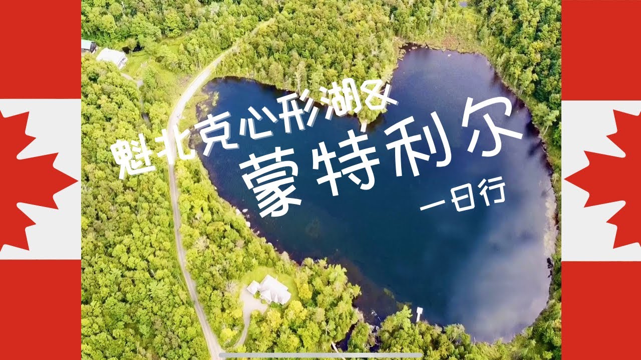 VLOG19:蒙特利尔&魁北克心形湖Etang Baker一日游 （蒙特利尔飞无人机，在山上看见了小浣熊一家）Montreal One Day ...