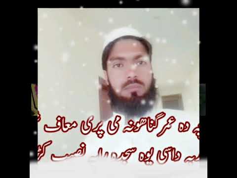 Ranga banga talibjana
