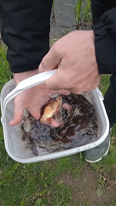 Запускаем молька - YouTube