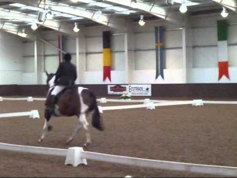 Maggie Cunning American Express NPS/TopSpec Working Group Dressage at ...