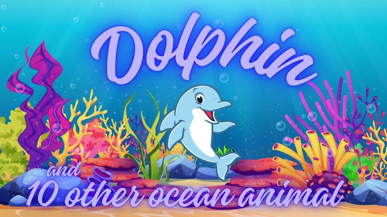 Animated educational video for childrens about ocean animals (Dolphin with Subtitles) - YouTube