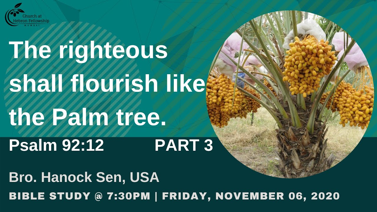 Bible Study | Psalm 92:12 | Bro. Hanock Sen, USA | 6th November 2020 ...