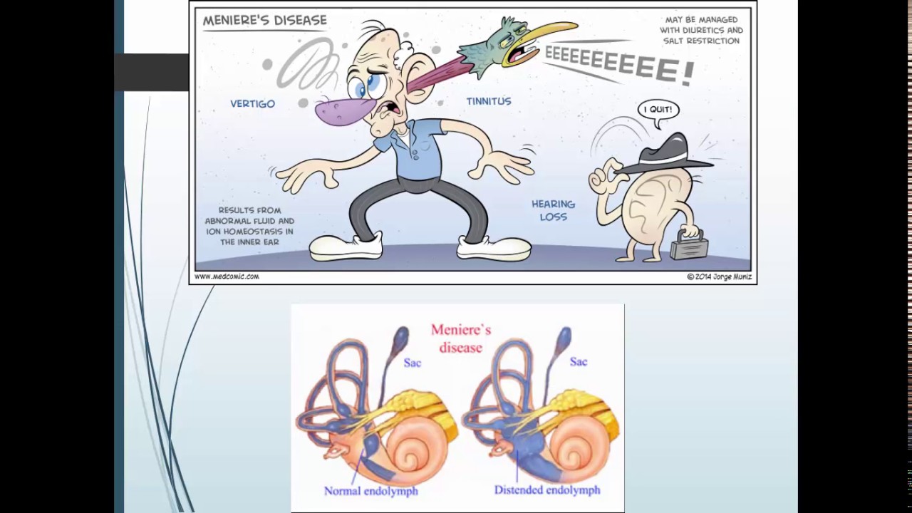 Concept of Sensory Perception - YouTube