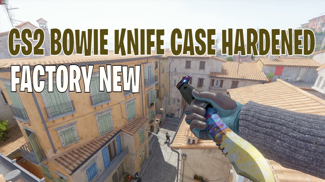 Bowie Knife Case Hardened | CS2 Skin Showcase #173 - YouTube