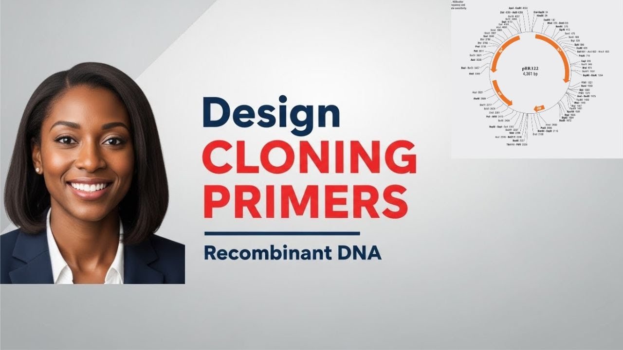 HOW TO DESIGN CLONING PRIMERS | Restriction Sites, Overhangs - YouTube