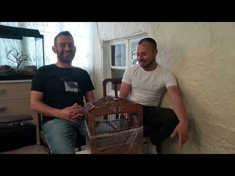 SAKA-FLORYA-FANYATA AKHİSARDA NECMETTİN İLE MELEZ SOHBETİ