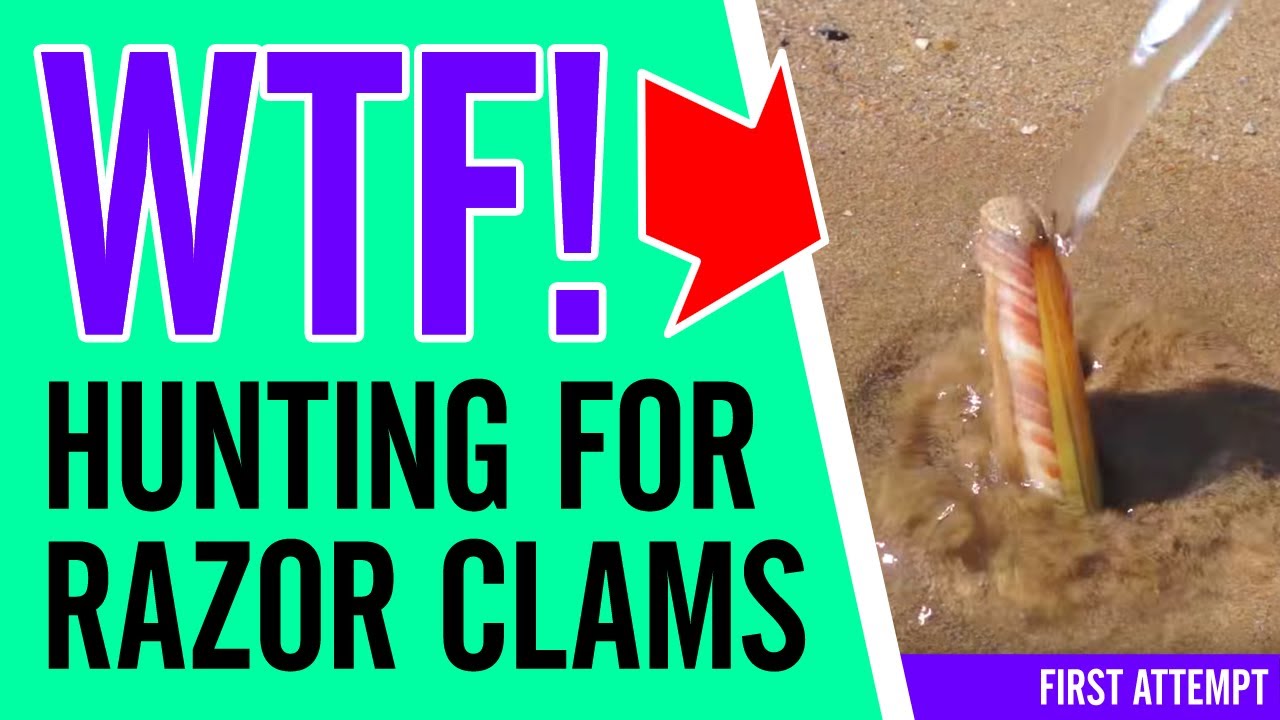 1st attempt at Razor Clam hunting in Donegal, Ireland - weird! - YouTube