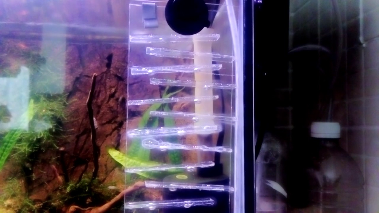 My diy Co2 ladder :-) - YouTube