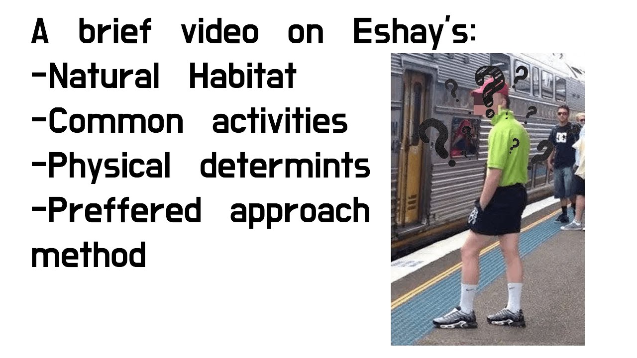Eshays and Where to Find Them - YouTube