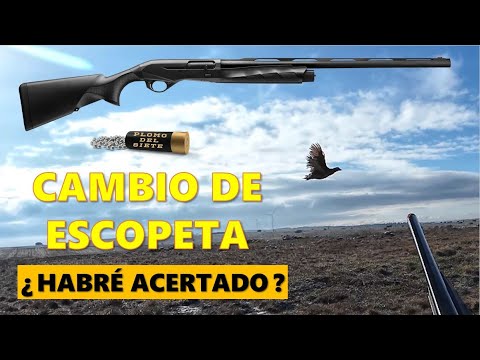 Escopeta Nueva, ¿habré acertado?