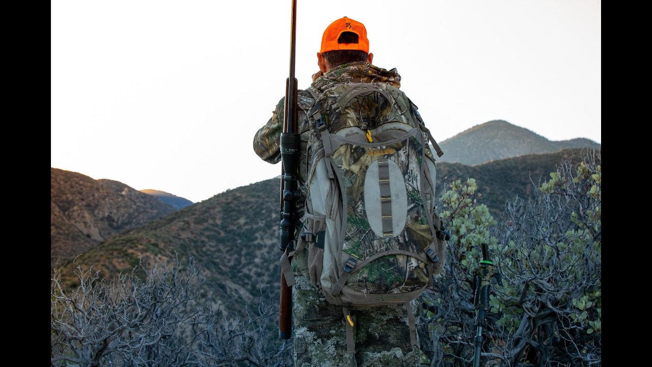 Wander Into The Mountains - YouTube