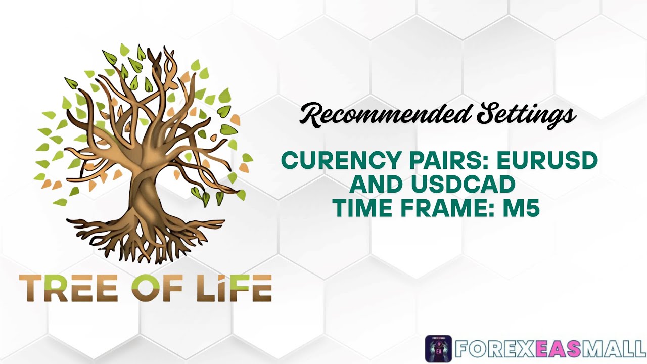 Tree Of Life EA MT4 BONUS Presets - Review and Guide install - YouTube