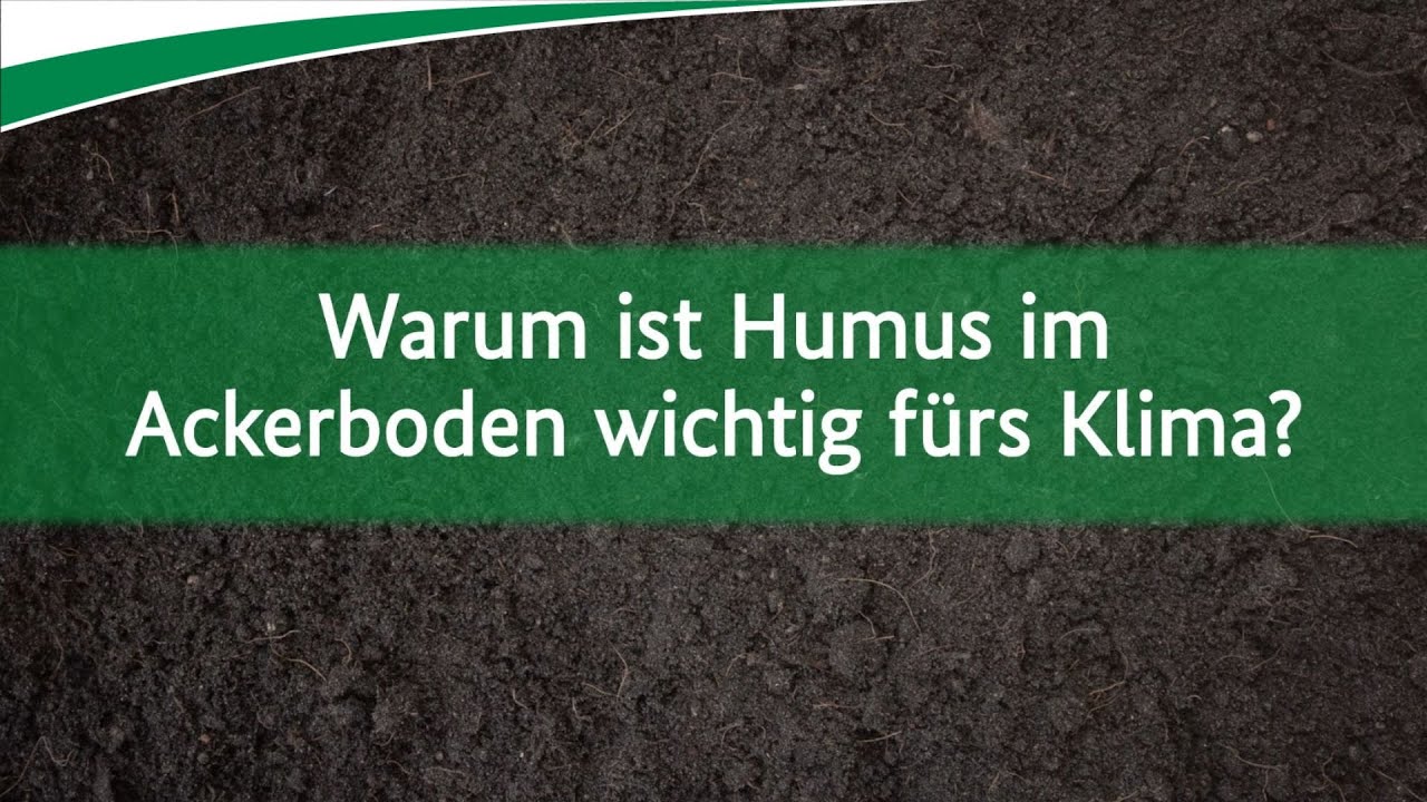 Warum ist Humus im Boden wichtig fürs Klima? - YouTube