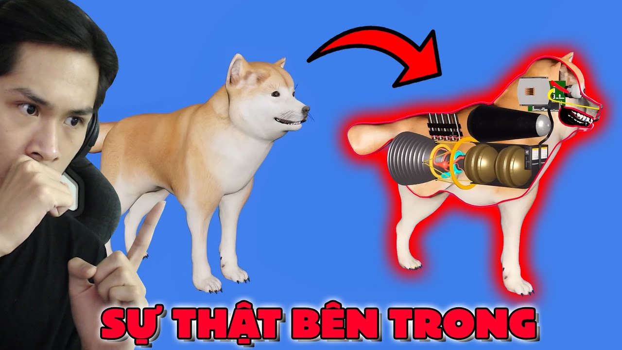 PobbRose SỰ THẬT bên trong một CON CHÓ *cảnh báo* !!! (Pobbrose HNXG ...