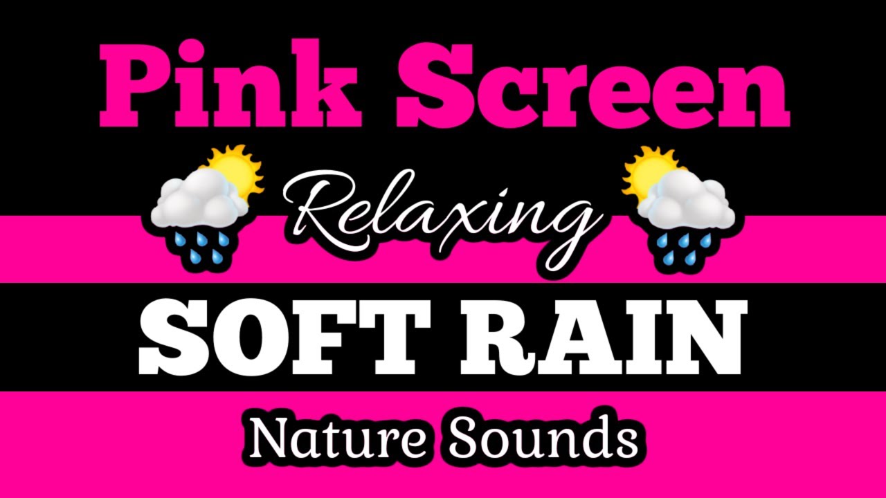 💟PINK SCREEN 🌦️SOFT RAIN 🌲Soothing Nature Sounds - YouTube