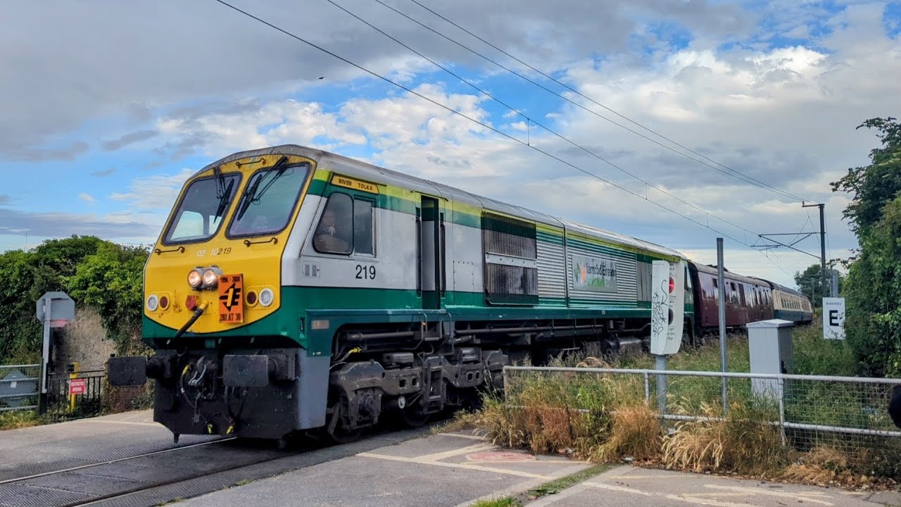 Irish Rail 201 class locomotive 219 passes through Rathdown Foot ...