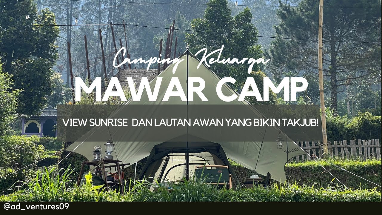 Camping Keluarga di Mawar Camp || Camping View Sunrise dan Lautan Awan ...