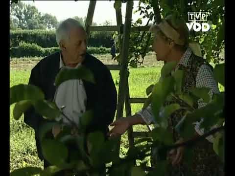 „M jak miłość\