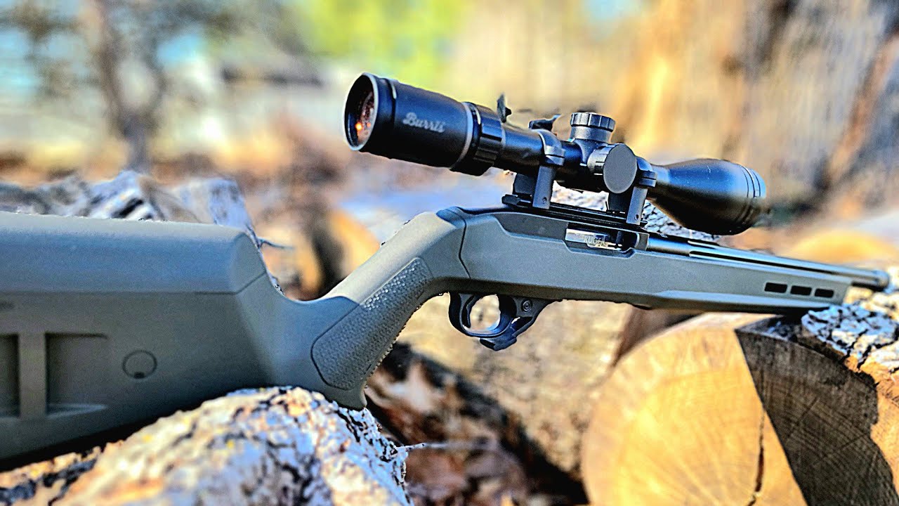 Ruger 1022, the ultimate build - YouTube