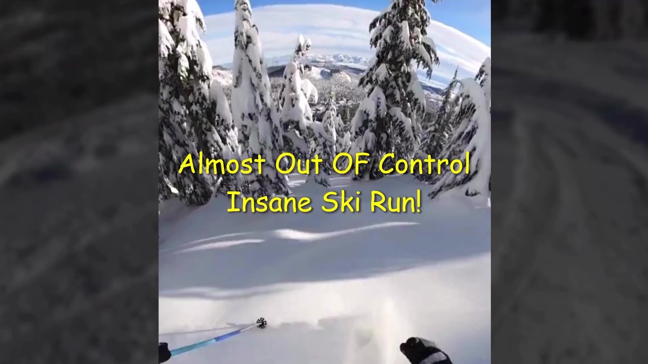 Phenomenal TREE, fresh POWDER ski run, Insane On VERGE of Out Of ...