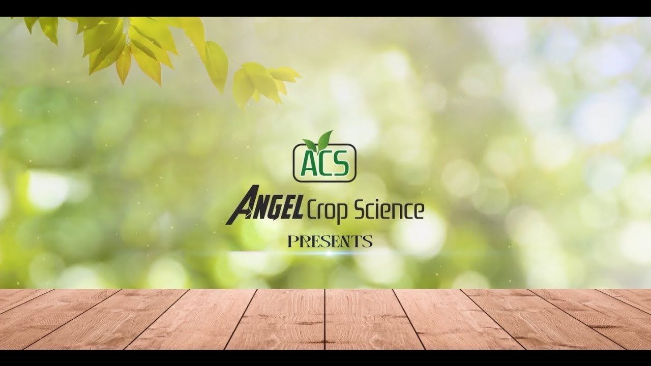 Angel Crop Science - Manufacturer Of Agricultural Products | Client Of ...