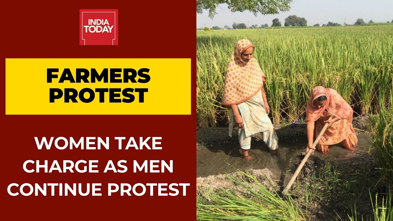Farmers Protest: Women Take Charge Of Fields As Their Men Continue ...
