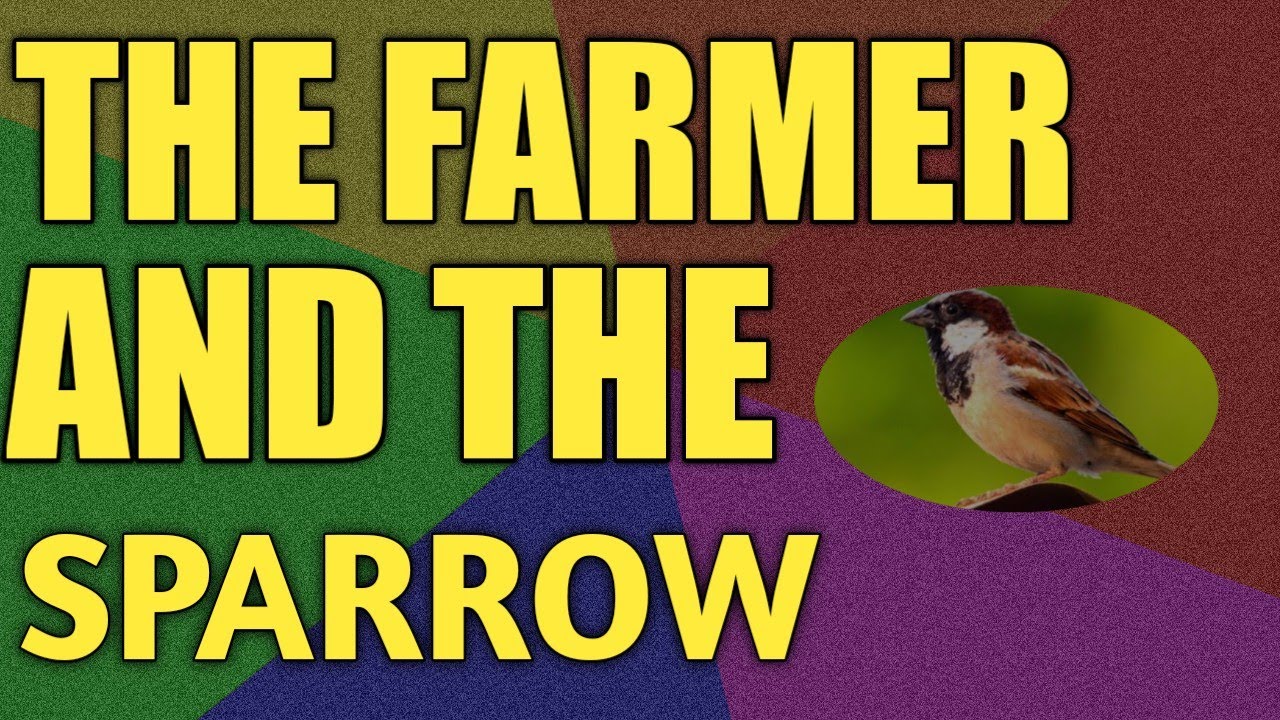 The Farmer And The Crane