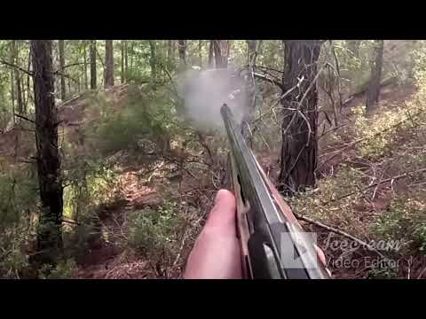 FİLM TADINDA ÇULLUK AVI -20 KALİBRE İLE WOODCOCK HUNTİNG