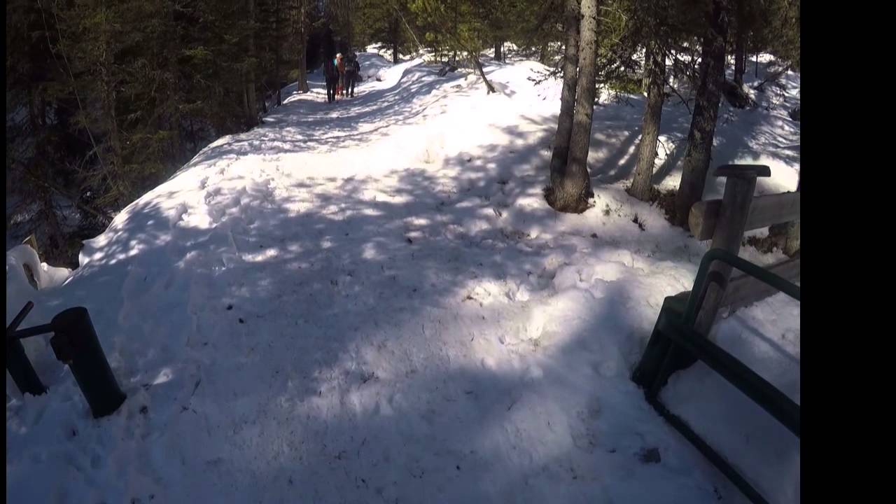 ESCURSIONE A FORCELLA LEROSA - YouTube