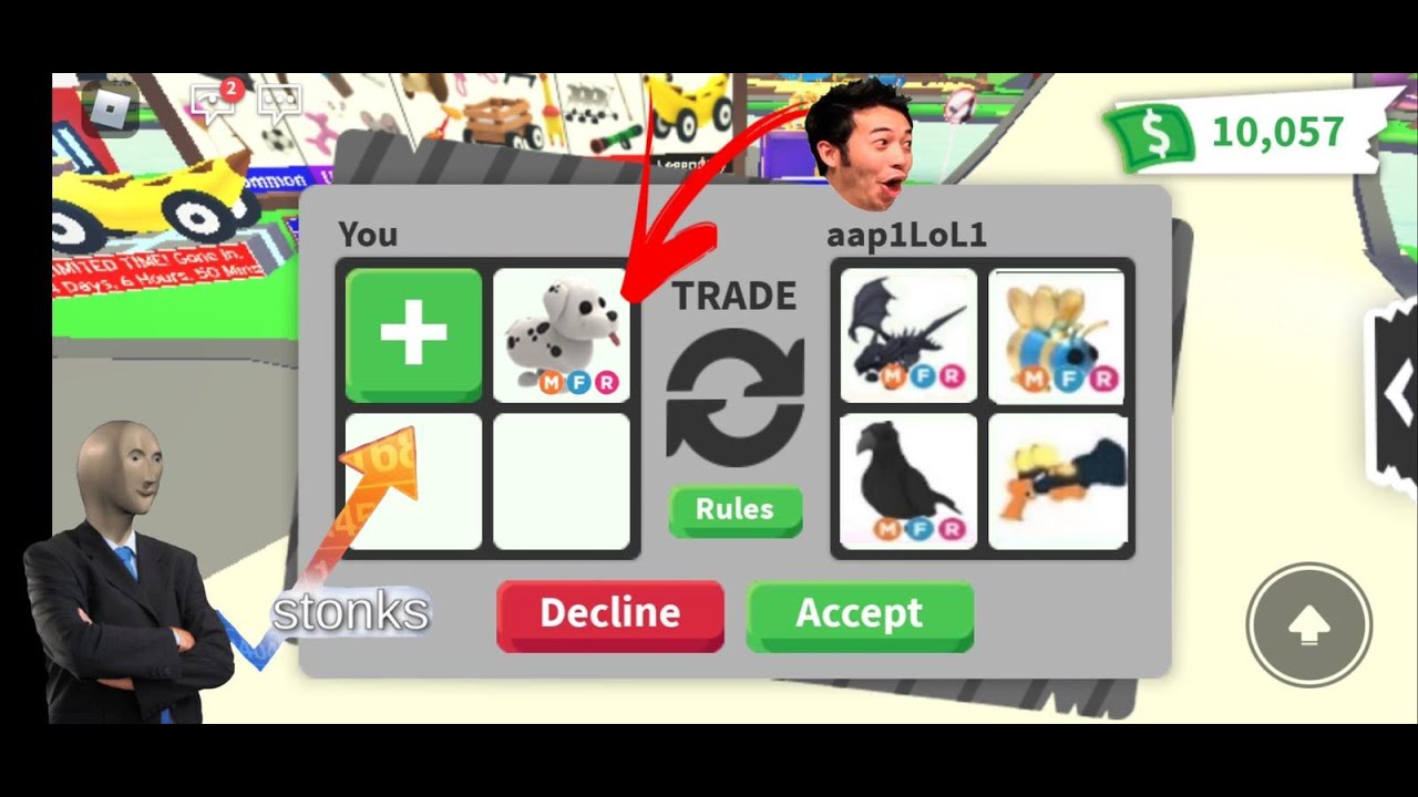SEEING OFFERS FOR MY MEGA DALMATIAN!!! ($65 pet) - YouTube