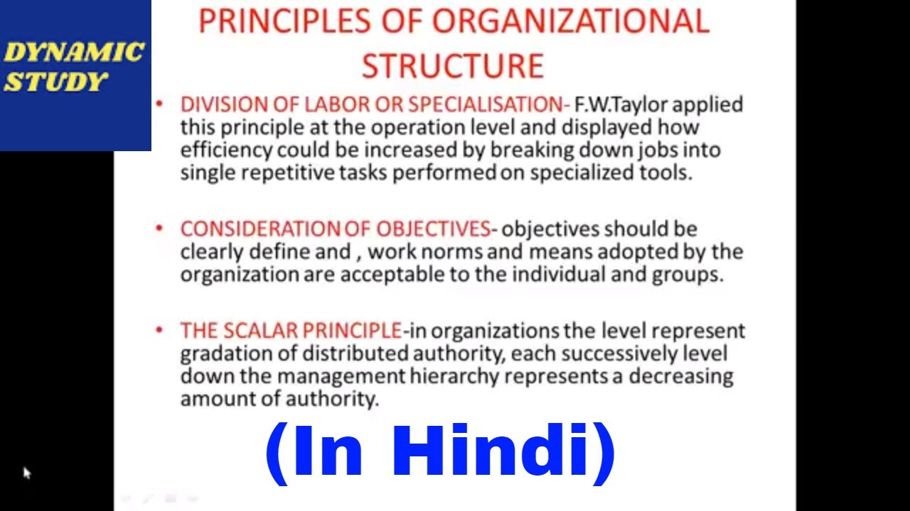Principle of Organization Structure in Hindi | Types of Organization ...